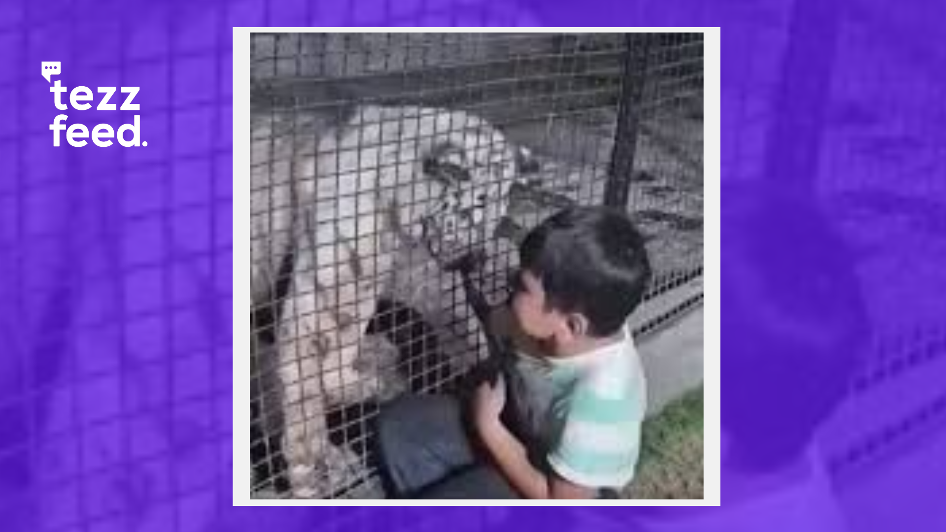 Tezzfeed: Headlines That Matter, Summarized for You.